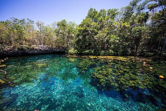 Private Coba & Zipline, Rappel and Cenote Snorkeling - Cost & Value Analysis