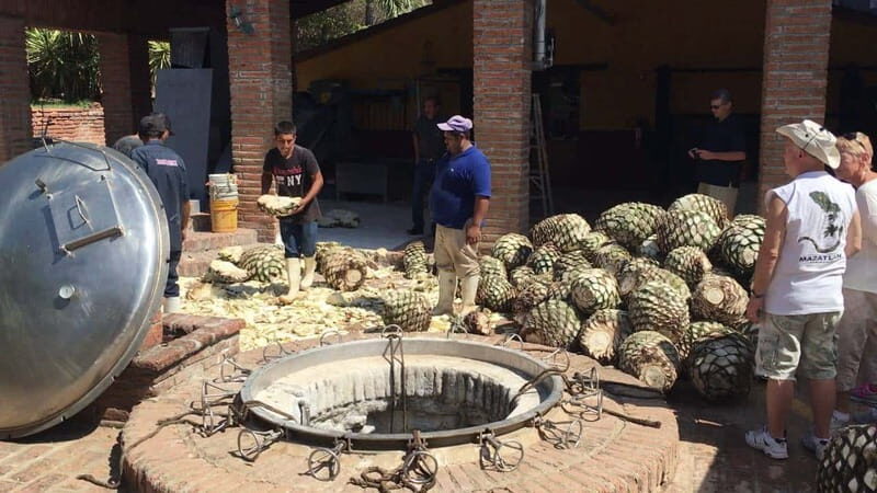 Private Colonial Tour Tequila and the Noria - The Sum Up