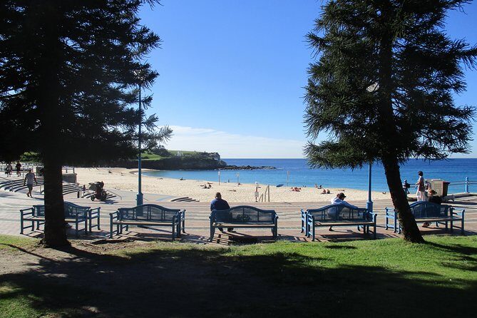 Private Coogee to Bondi Walk from your city hotel - What Makes This Tour Stand Out?