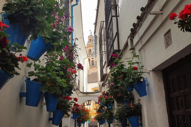 Private Córdoba Highlights Walking Tour - The Itinerary: What You’ll See and Experience