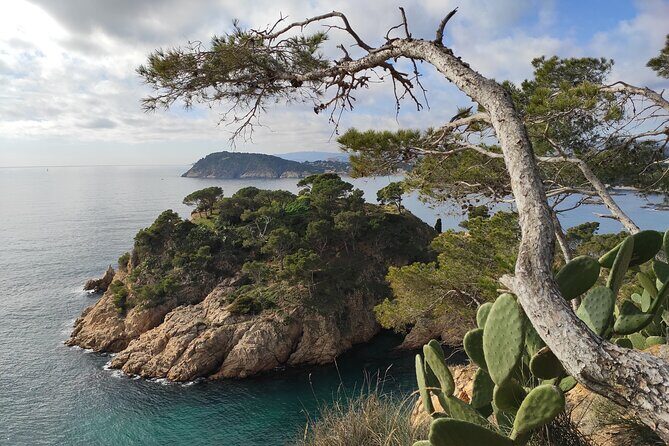 Private Costa Brava Hike and Snorkel from Barcelona with Lunch - FAQ
