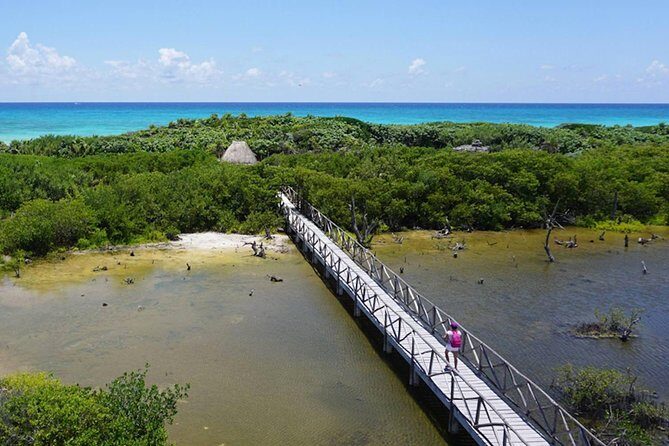 Private cozumel full day adventure - Personal Insights from Reviewers