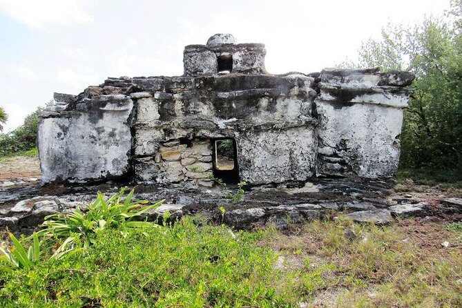 Private cozumel full day adventure - Who Is This Tour Best For?