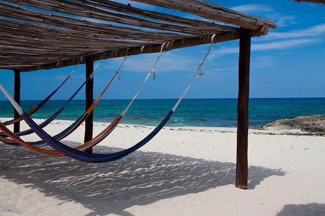 Private cozumel full day adventure - The Sum Up