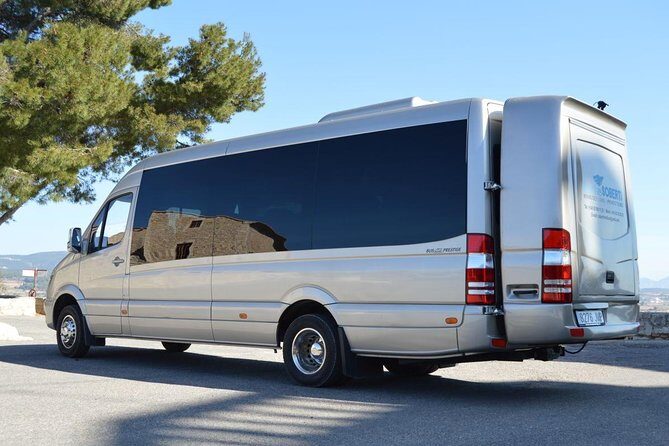 Private Cruise Port to Airport Transfer in Barcelona - The Vehicle and Comfort  