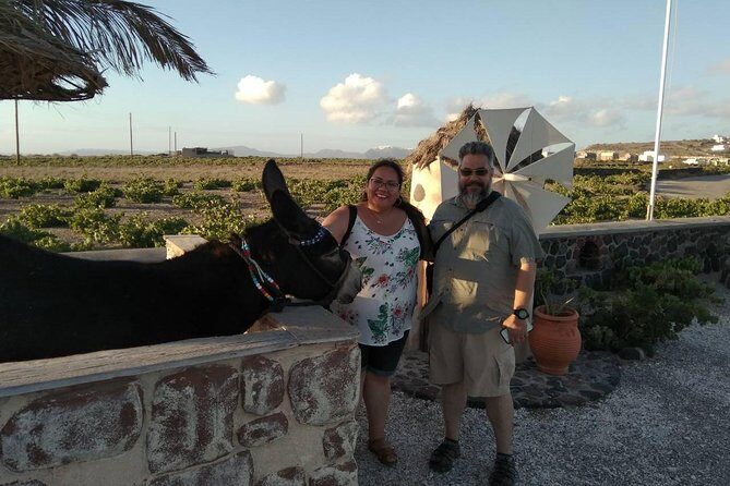 Private Cultural Villages Sightseeing & Akrotiri Excavations - Final Thoughts