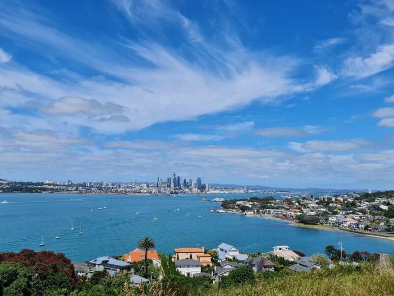Private Custom: Auckland City Hidden Gem Tour - What Makes This Tour Stand Out?