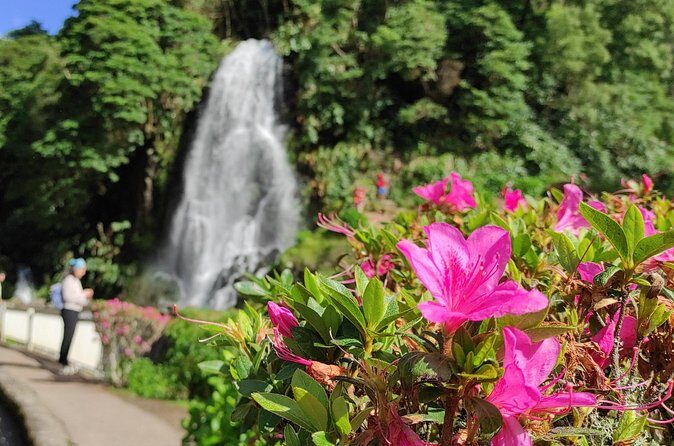 Private Custom Tour in São Miguel Island - Transportation and Guide Experience