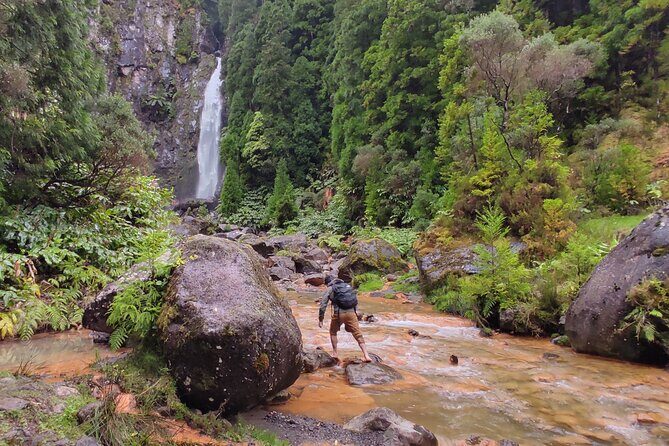 Private Custom Tour in São Miguel Island - Final Thoughts: Is It Worth It?