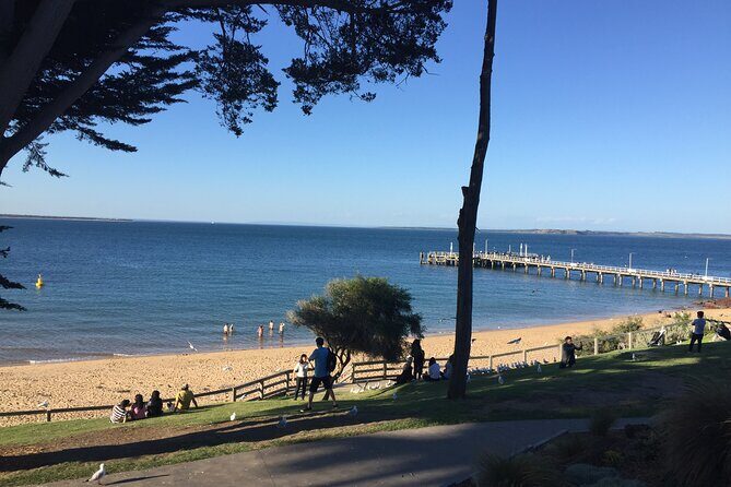 Private custom Tour of Phillip Island With Penguin Parade - The Practicalities: What to Expect