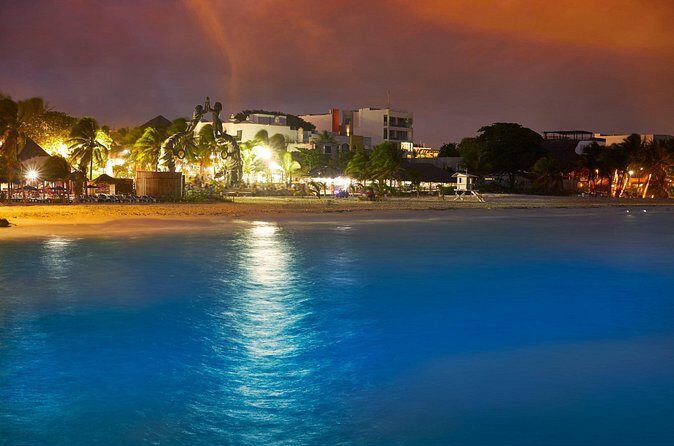 Private Custom Walking Tour with a Local Guide Playa del Carmen - Practical Considerations and Tips