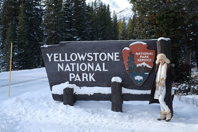 Private, Custom Yellowstone Wildlife Tours & Photo Safaris - A Closer Look at the Yellowstone Private Photo Safari