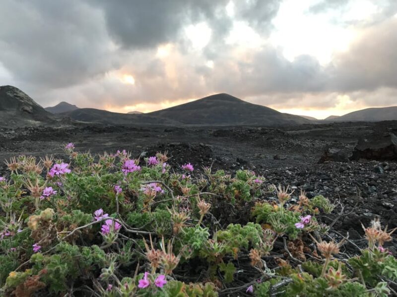 PRIVATE CUSTOMIZED TOUR OF LANZAROTE ISLAND - FAQ