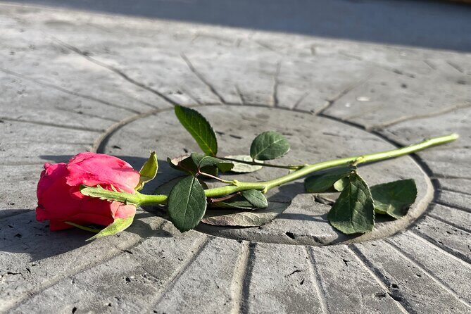 Private Dachau Concentration Camp Memorial Site Tour from Munich - Who Would Benefit Most?