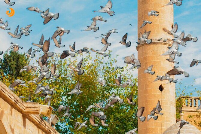 Private Daily Tour in Gobeklitepe and Karahantepe from Istanbul - Who Will Love This Experience?