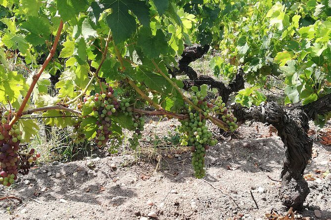 Private Day in Rioja from San Sebastian - Final Thoughts