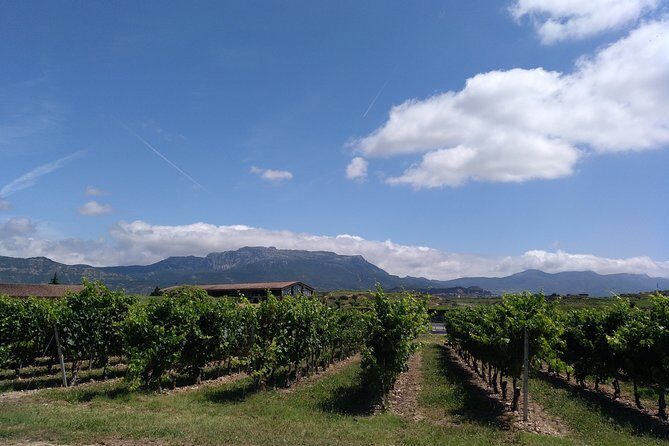 Private Day in Rioja from San Sebastian - Frequently Asked Questions