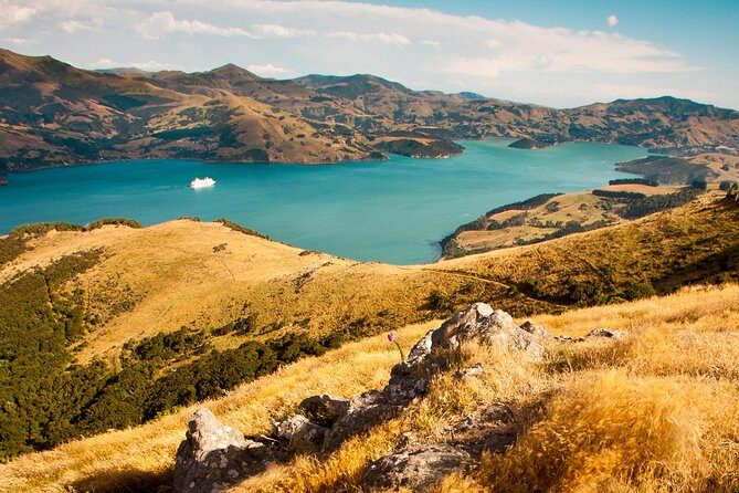 Private Day Scenic Excursion to Akaroa/Christchurch ex Lyttelton - Key Points