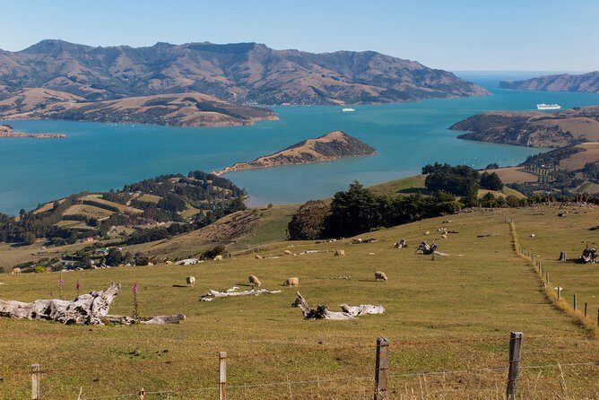 Private Day Scenic Excursion to Akaroa/Christchurch ex Lyttelton - Why This Tour Offers Great Value
