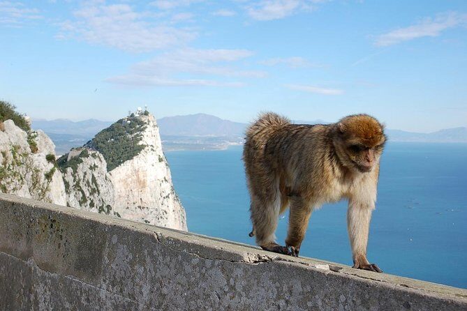 Private Day To Gibraltar from Marbella or Marbella - Who Will Love This Tour?