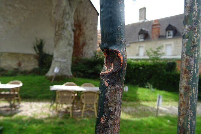 Private Day Tour 82nd and 101st Airborne Utah Operations - Who Would Benefit Most from This Experience?