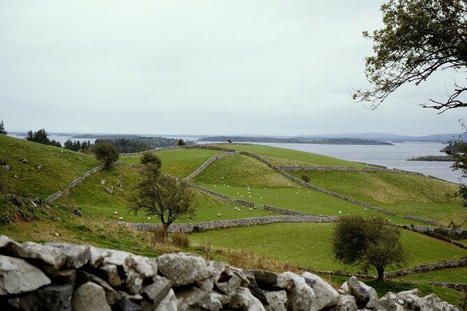 Private Day Tour Cliffs of Moher from Dublin - Starting Bright and Early in Dublin