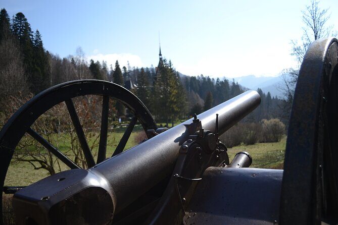 Private Day Tour: Dracula's Castle and Peles Castle - Who Should Consider This Tour