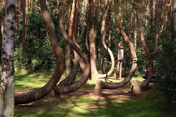 Private Day Tour from Berlin to Szczecin Poland - Who Will Love This Tour?