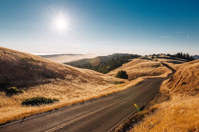 Private Day Tour from Florence to Pisa, Chianti and San Gimignano - Price, Value, and Overall Experience