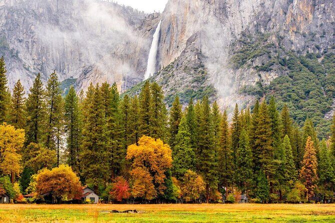 Private Day Tour from San Jose in Yosemite Natural Park - A Complete Breakdown of the Yosemite Private Day Tour