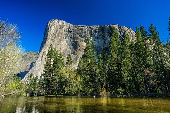 Private Day Tour from San Jose in Yosemite Natural Park - What to Expect and Practical Tips