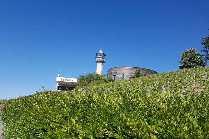 Private day tour in Champagne - What Makes This Tour Special?