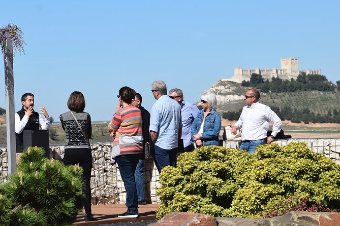 Private day tour Ribera del Duero - What Makes This Tour Stand Out