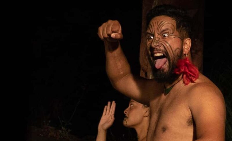 Private Day Tour - Rotorua, Kiwi Hatchery & Mori Culture - Key Points  