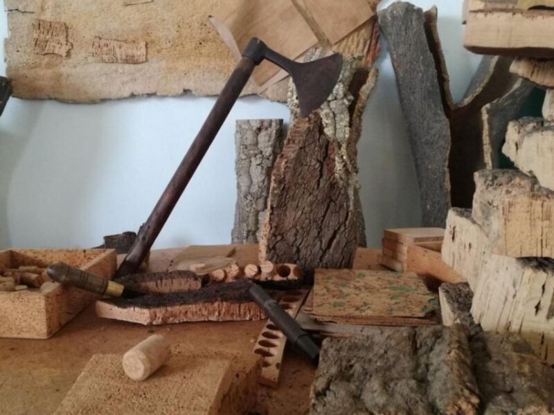 Private day tour to Évora: cork, factory, winery & the city - FAQ