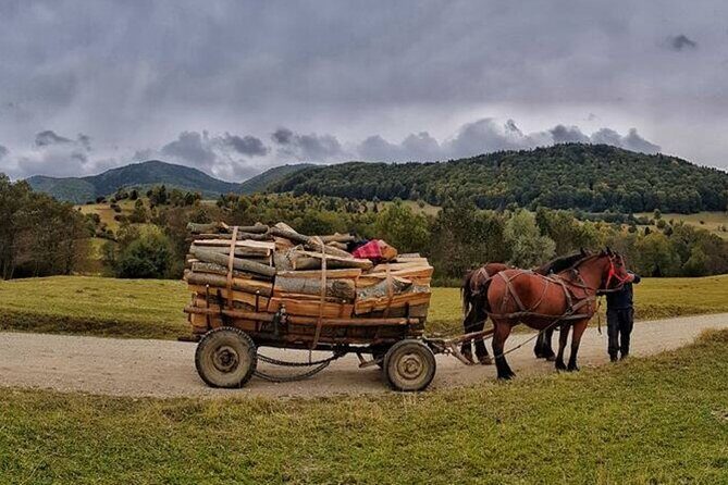 Private Day Tour to Historical Villages in Sinaia - FAQ
