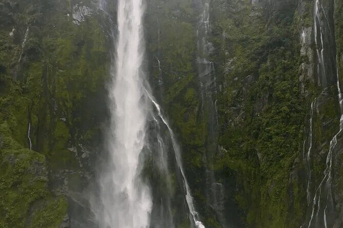 Private Day tour to Milford Sound from Queenstown - Arrival at Milford Sound – The Fiord That Commands Respect