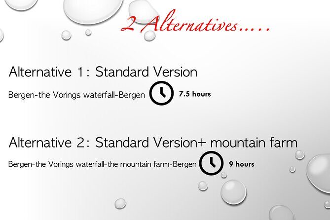 Private day tour to the Vorings Waterfall Norway's most visited - Price and Value: Is It Worth It?