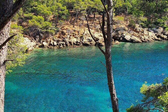 Private Day Trip between St Cyr and Cassis! - The Real Experience: What Travelers Say