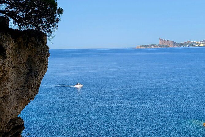 Private Day Trip between St Cyr and Cassis! - Who Will Love This Tour?