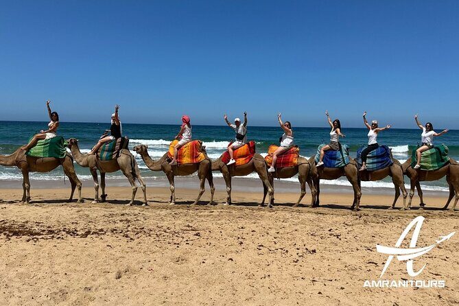 Private Day Trip from Seville to Tangier All Inclusive - Exploring the Best of Tangier in a Day: A Detailed Review of the Private All-Inclusive Trip from Seville