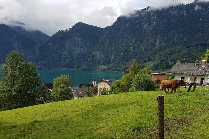 Private Day Trip from Vienna to Hallstatt - The Experience of the Guides