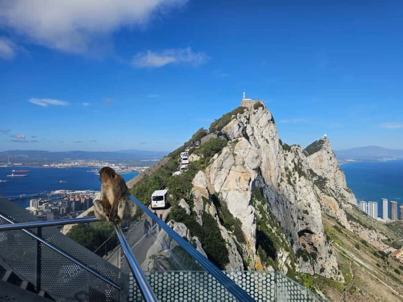 Private Day Trip: Gibraltar & (Tangier) Morocco from Seville - Exploring Gibraltar & Tangier: A One-Day Adventure from Seville