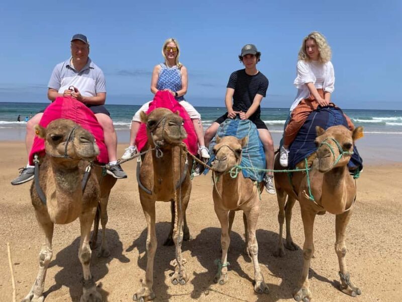 Private Day Trip: Gibraltar & (Tangier) Morocco from Seville - Final Thoughts