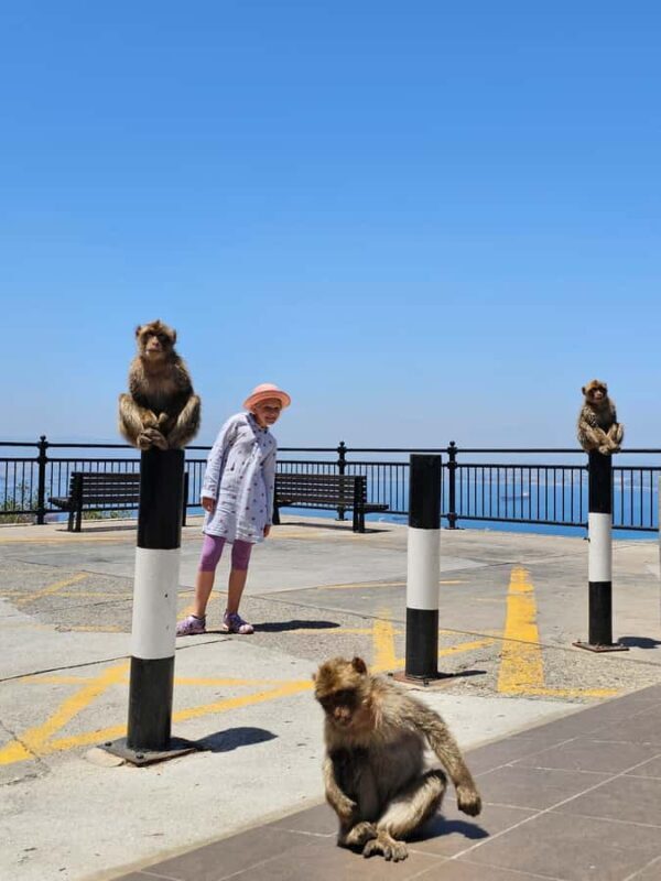 Private Day Trip: Gibraltar & (Tangier) Morocco from Seville - FAQ