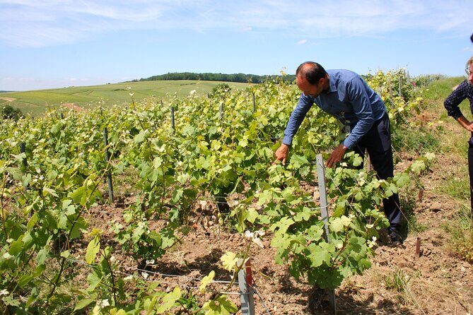 Private Day Trip Paris to Champagne: Lunch+Tastings with Producer - Discovering the Charm of a Private Day Trip from Paris to Champagne