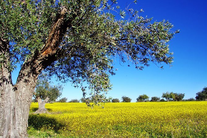 Private Day Trip to Canal,Ancient Corinth,Myceane and Nauplion - Frequently Asked Questions