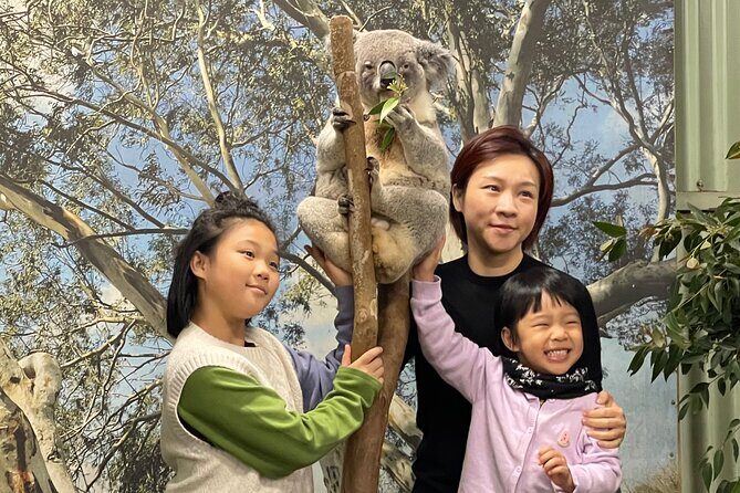 Private Day Trip to Featherdale, Scenic World and Three Sisters - Key Points