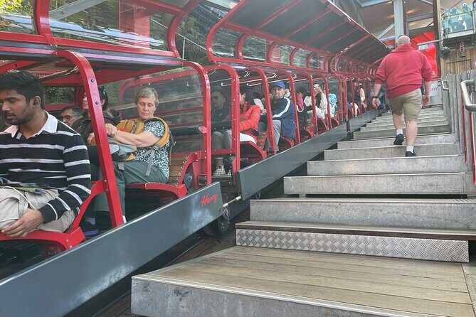 Private Day Trip to Featherdale, Scenic World and Three Sisters - An In-Depth Look at the Itinerary