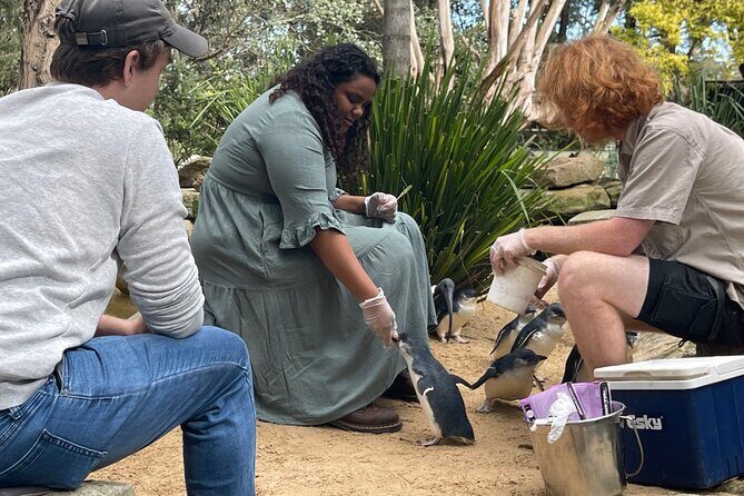 Private Day Trip to Featherdale, Scenic World and Three Sisters - Who Is This Tour Best For?